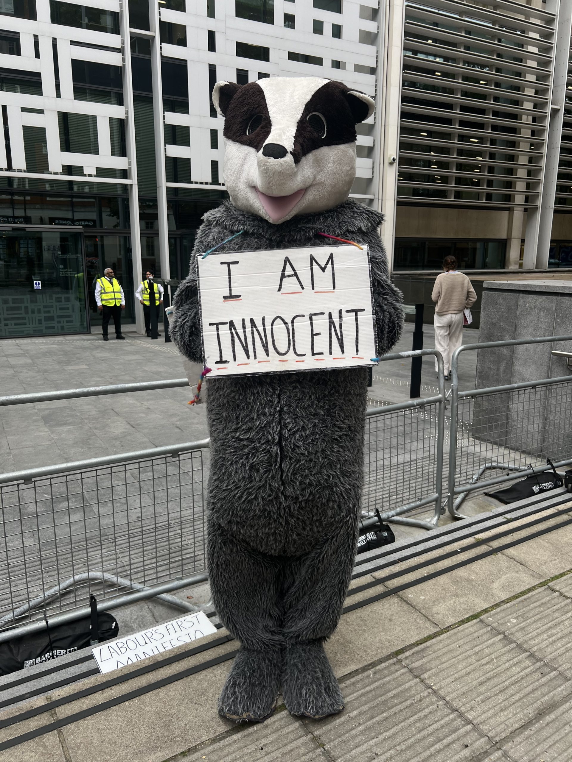 Blog – The Badger Crowd – standing up for badgers